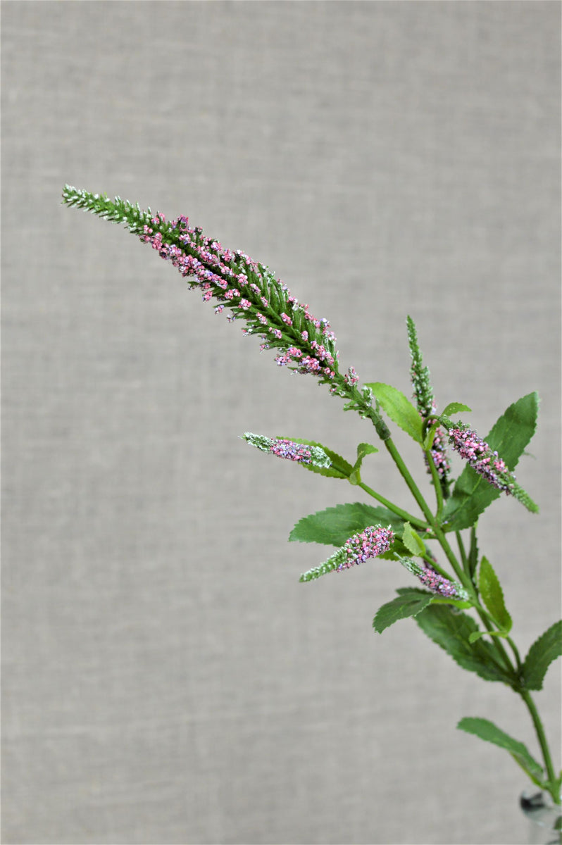 Veronica Spray - Pink – Petals for Life
